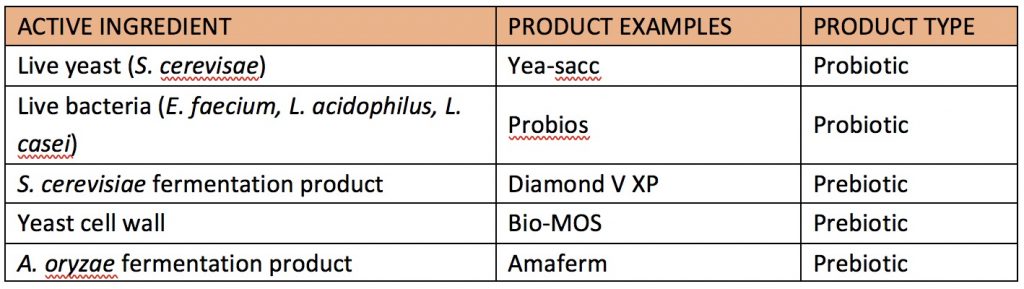 Probiotics vs. Prebiotics: What’s the difference? - BioZyme Additive