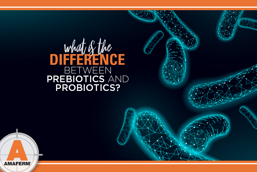 Probiotics vs. Prebiotics: What’s the difference? - BioZyme Additive