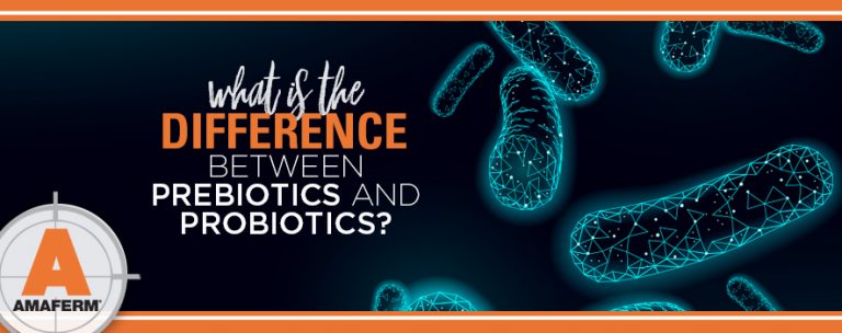 Probiotics vs. Prebiotics: What’s the difference? - BioZyme Additive