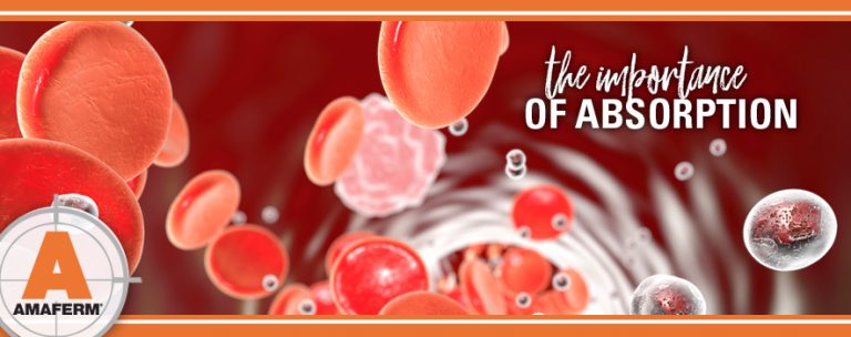 The Importance of Absorption - BioZyme Additive