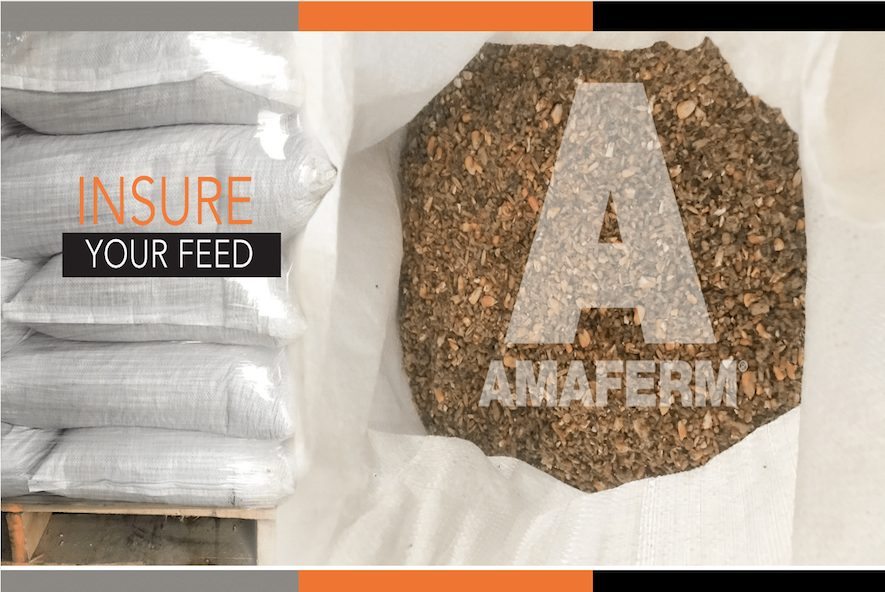 Insure Your Feed - BioZyme Additive