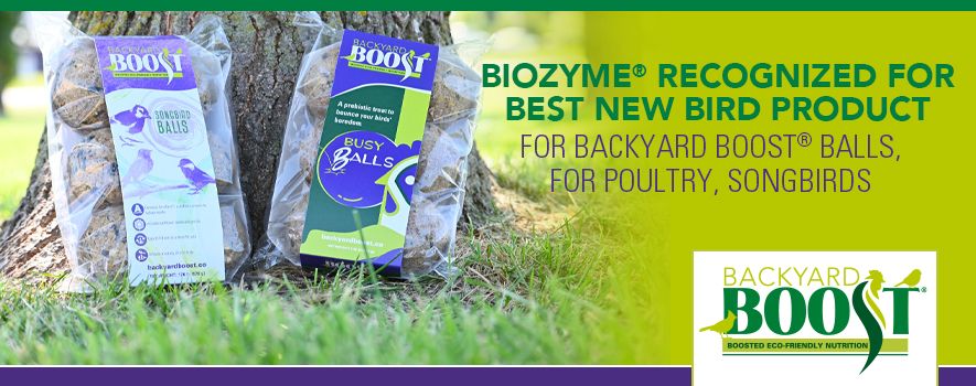 Backyard Boost – Boosted Eco-Friendly Nutrition