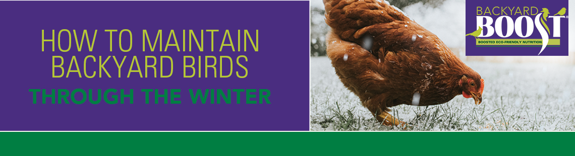 Backyard Boost – Boosted Eco-Friendly Nutrition