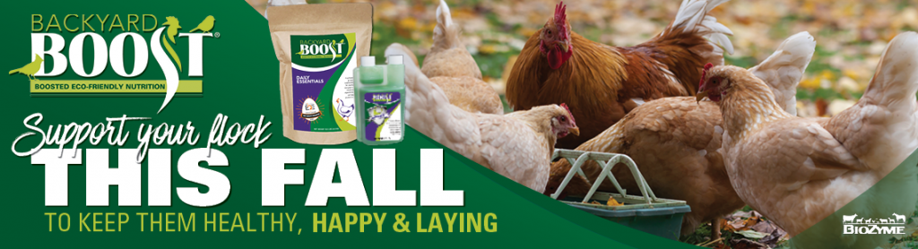 Homepage - Backyard Boost