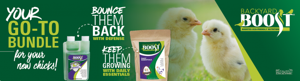 Homepage - Backyard Boost