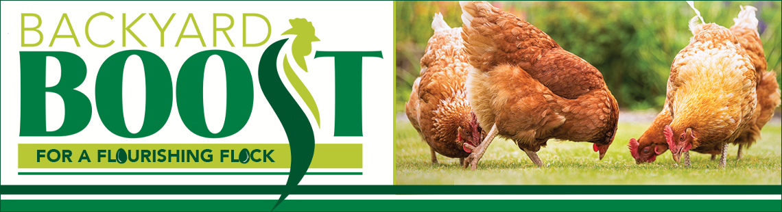 Backyard Boost – For a Flourishing Flock