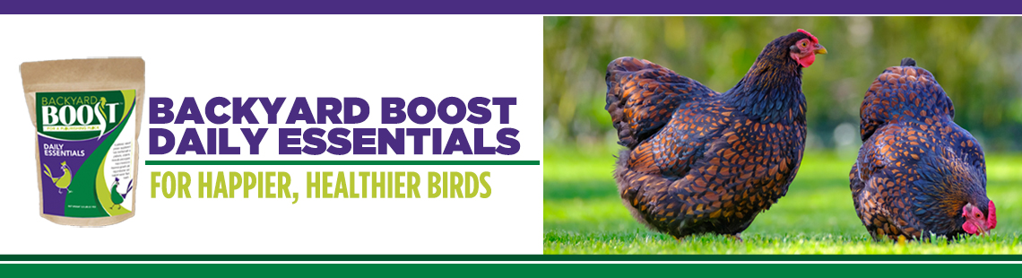 Backyard Boost – For a Flourishing Flock