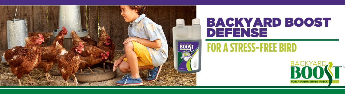 Backyard Boost – For a Flourishing Flock