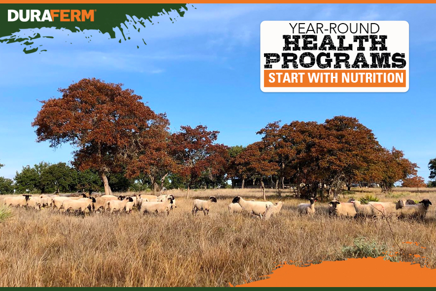 Year-round Health Programs Starts with Nutrition - DuraFerm