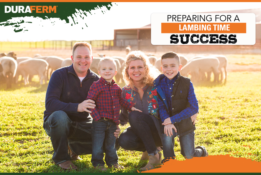 Prepare for Lambing Time Success - DuraFerm