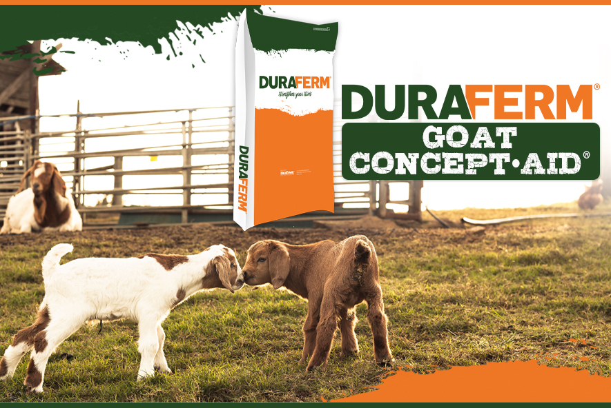 DuraFerm® Goat Concept•Aid® - DuraFerm