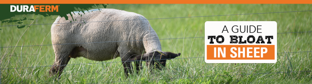 DuraFerm – Strengthen Your Stock