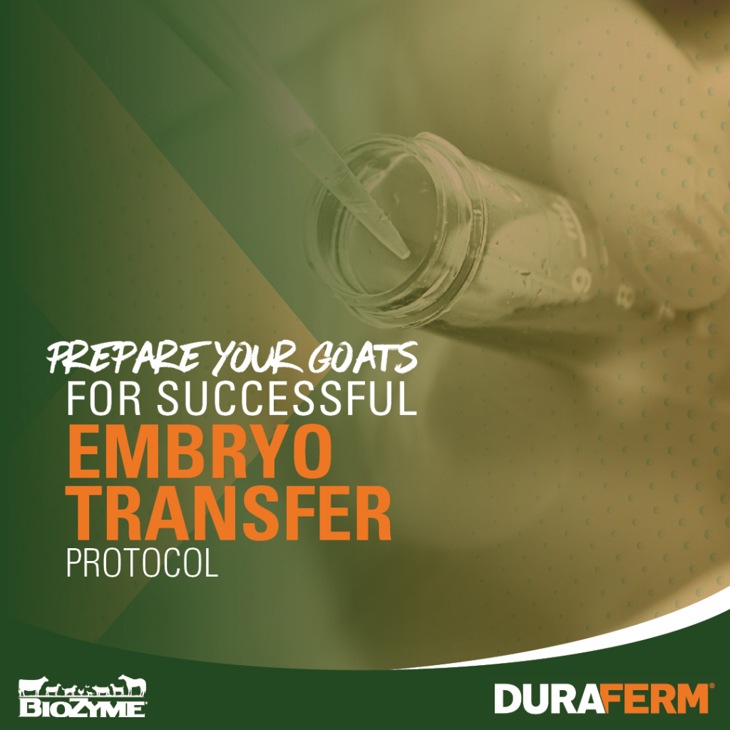 Education - DuraFerm