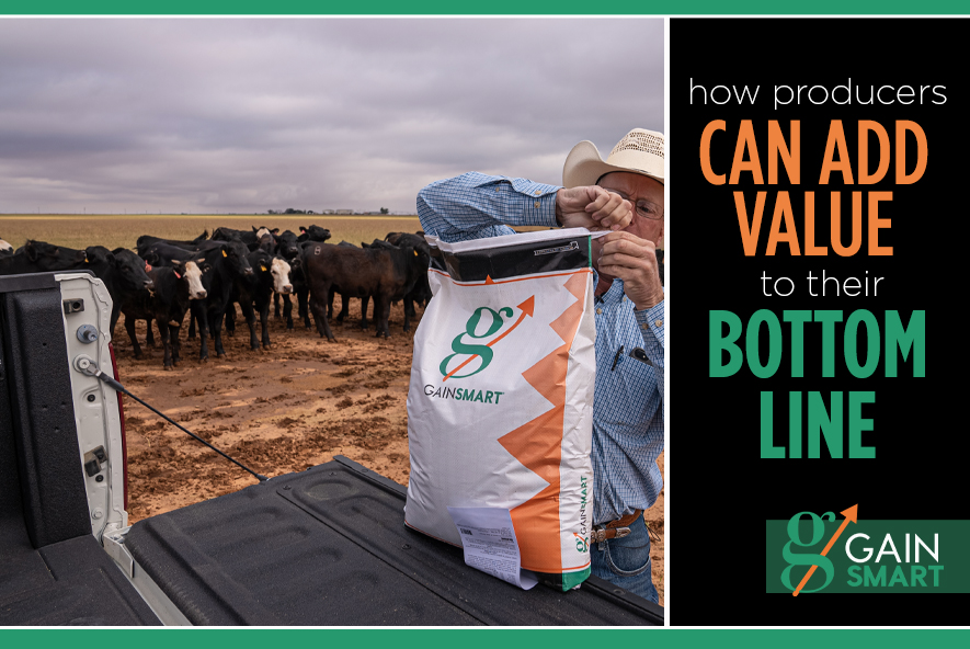 How Producers can Add Value to their Bottom Line - Gain Smart