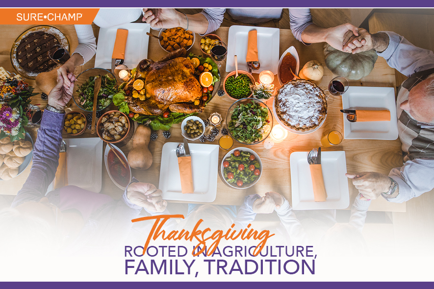 Thanksgiving: Rooted in Agriculture, Family, Tradition - Sure Champ