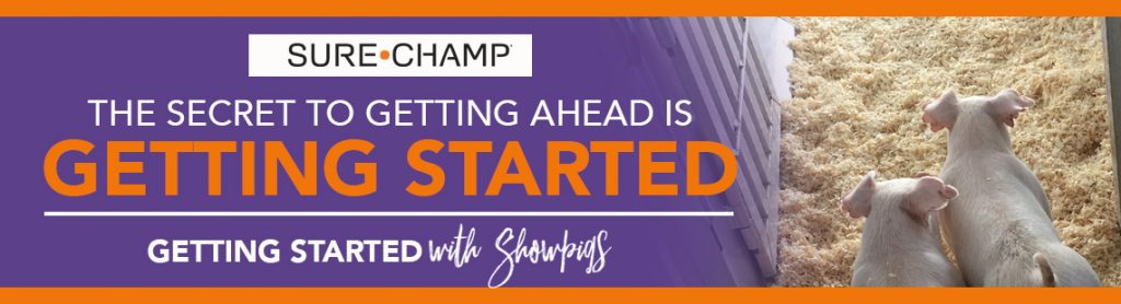 Homepage - Sure Champ