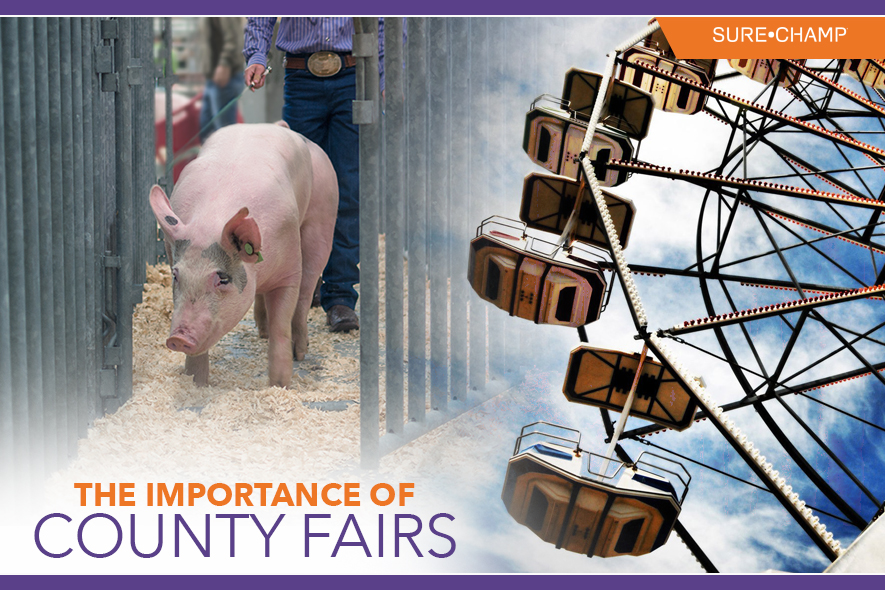 The Importance of County Fairs - Sure Champ