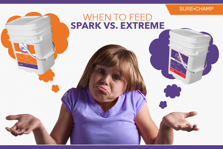 When to Feed Spark® vs Extreme - Sure Champ