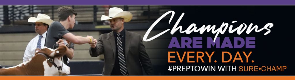 Homepage - Sure Champ