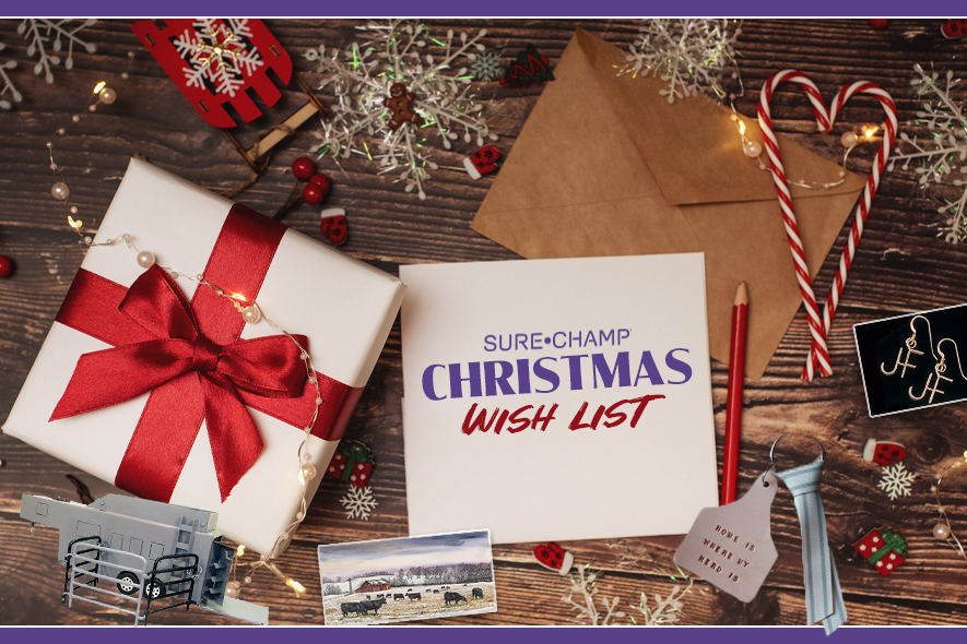 2020 Sure Champ Christmas Wish List - Sure Champ