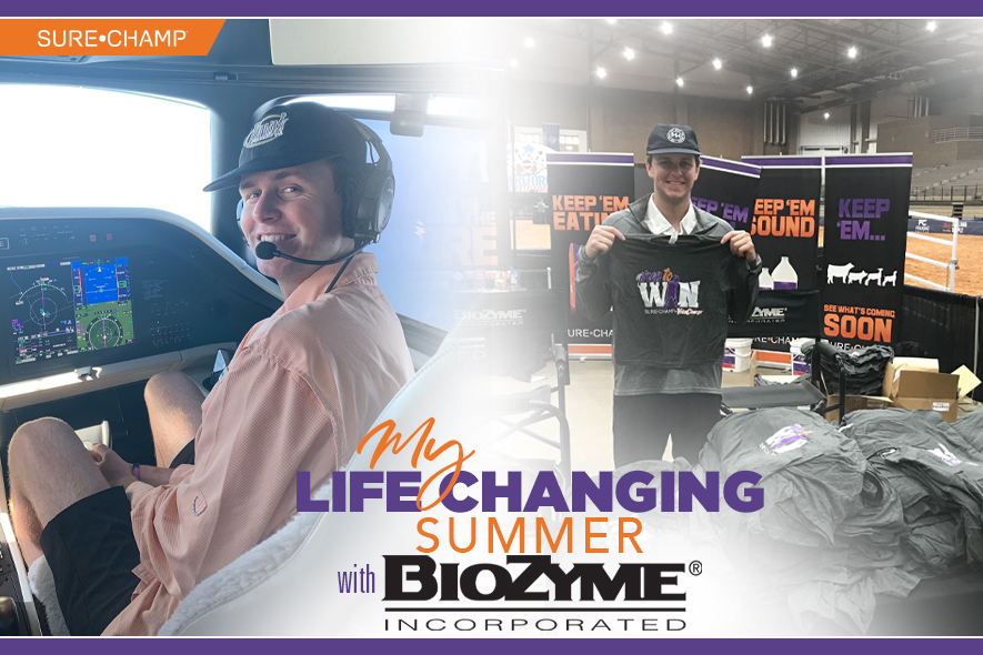 My Life Changing Summer with BioZyme - Sure Champ