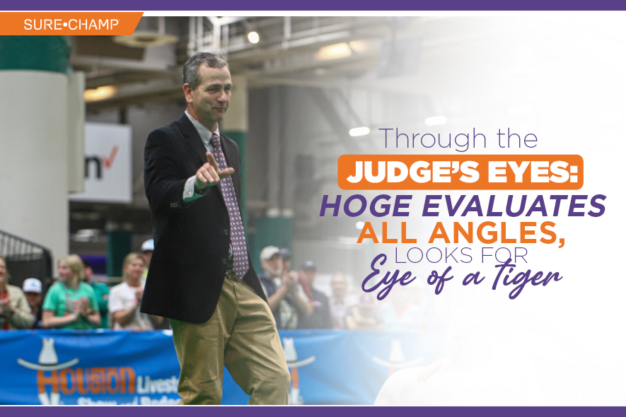 Through the Judge’s Eyes: Hoge Evaluates all Angles, Looks for Eye of a ...