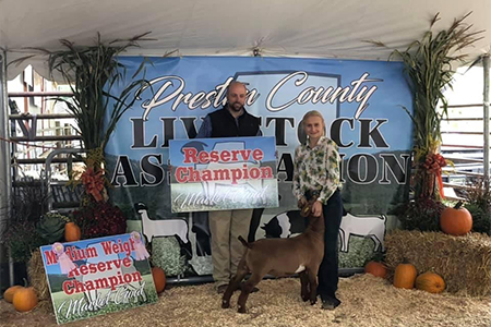 Lara Hayes - Sure Champ