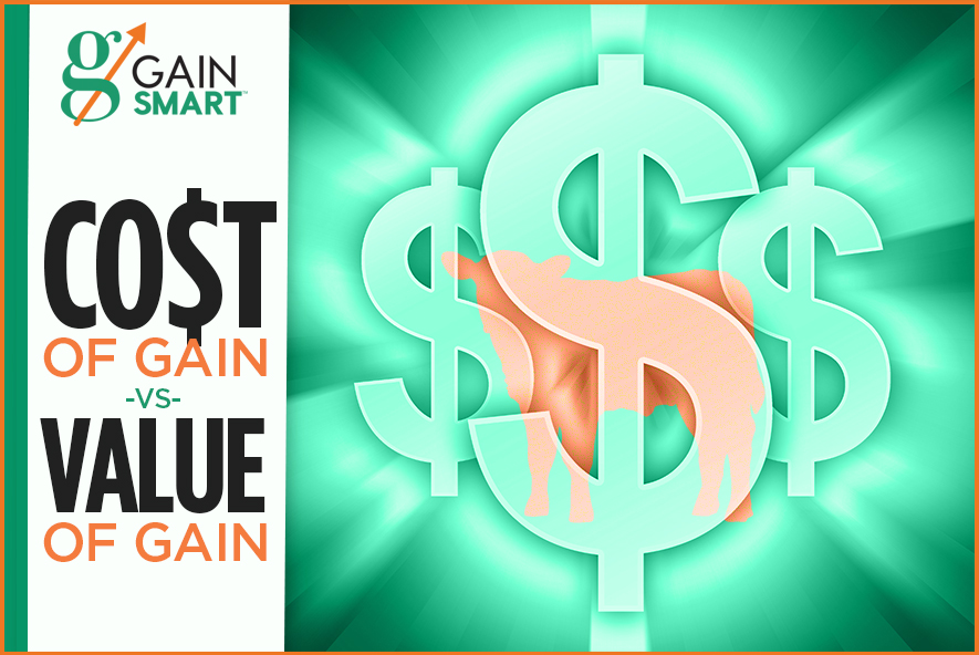 Gain Smart™ is the Smart way to Gain Profits - VitaFerm