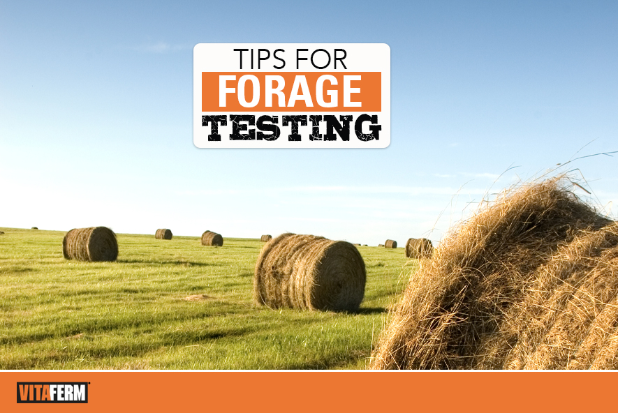 Tips for Forage Testing - VitaFerm