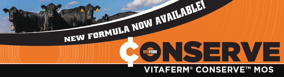 Homepage - VitaFerm