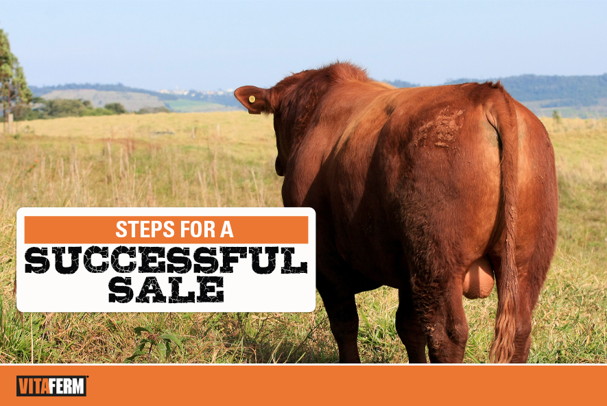Steps for a Successful Sale - VitaFerm