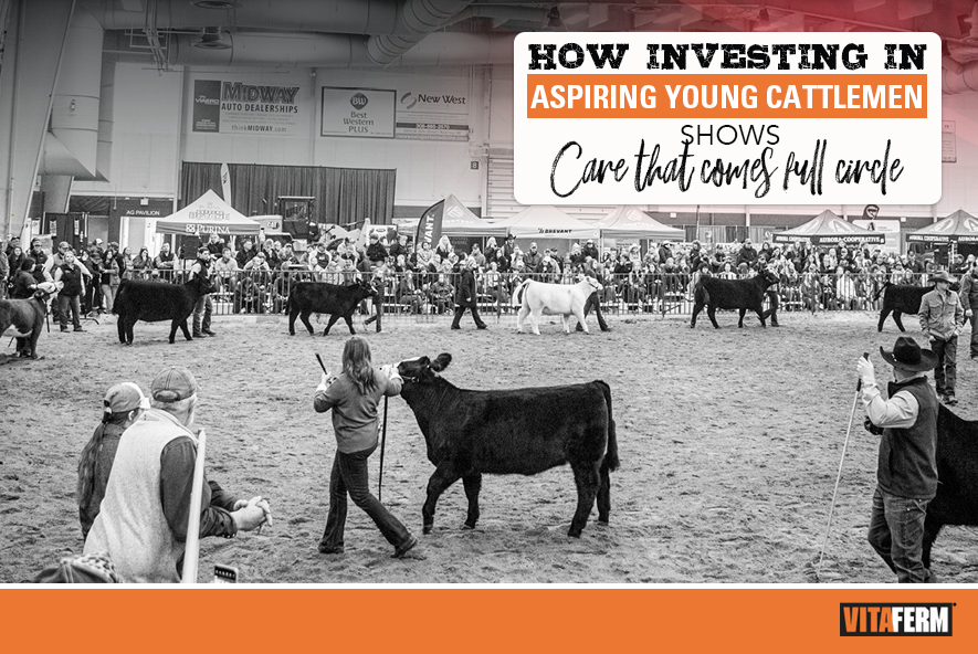 How Investing in Aspiring Young Cattlemen Shows Care that Comes Full ...