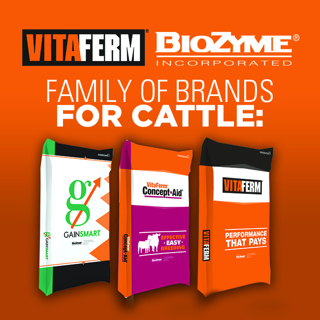 BioZyme® Brands Cover all Sectors of Beef Business - VitaFerm