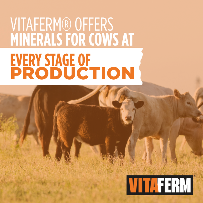 VitaFerm® Offers Minerals for Cows in Every Stage of Production - VitaFerm