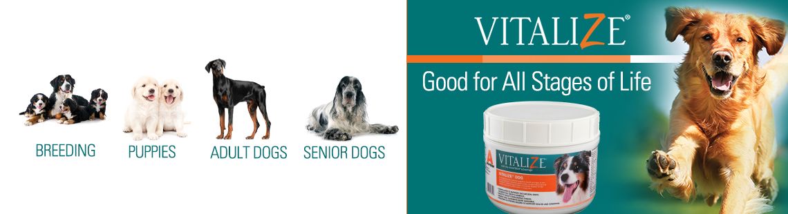 Vitalize Canine – A Good Gut Feeling