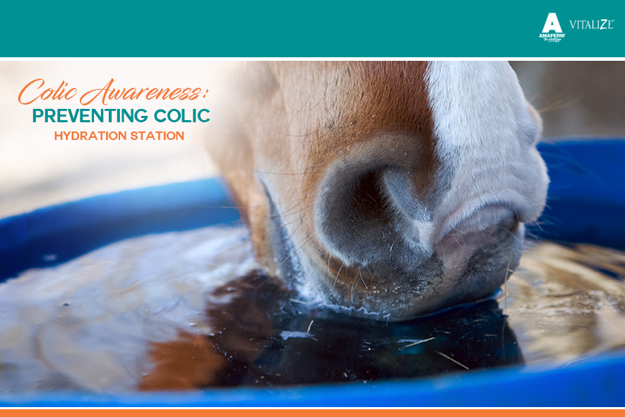 Colic Awareness: Preventing Colic Part 4 - Vitalize