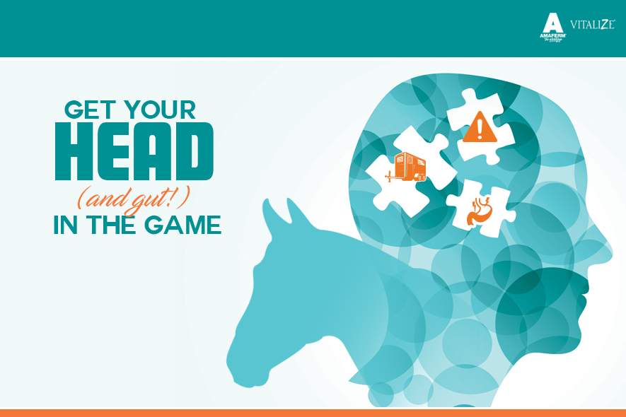 Get Your Head (and Gut!) in the Game - Vitalize