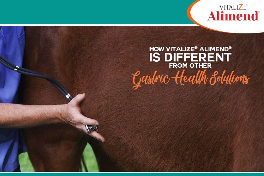 How Vitalize® Alimend® is Different From other Gastric Health Solutions ...